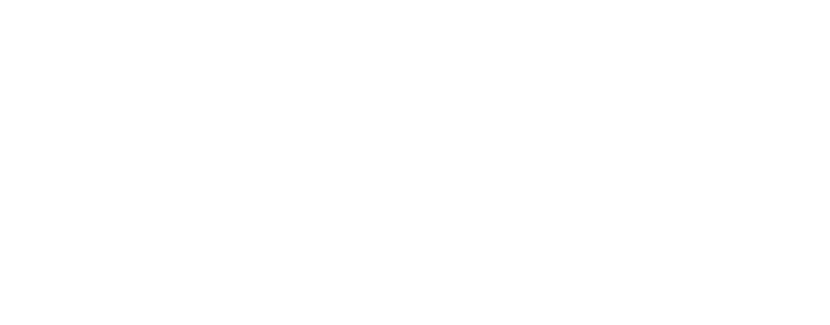 Productos Andinos - Grupo Delotte